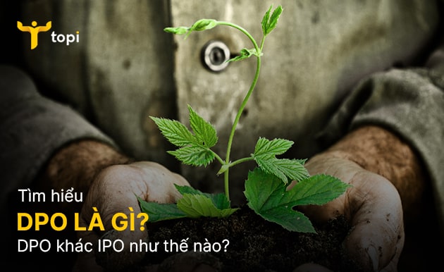 DPO là gì? DPO khác IPO như thế nào?